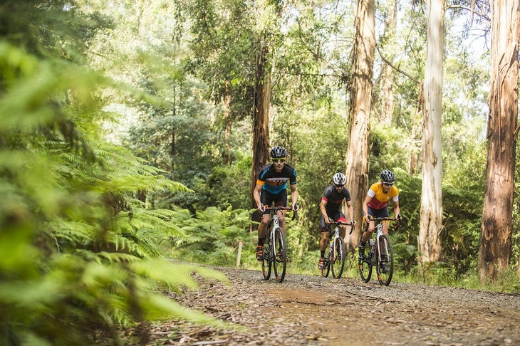 Roadtripping the Victorian High Country - Velo