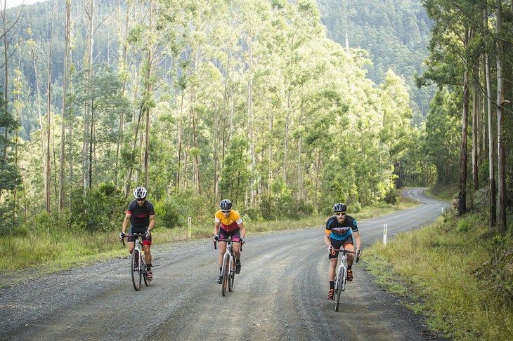 Roadtripping the Victorian High Country - Velo