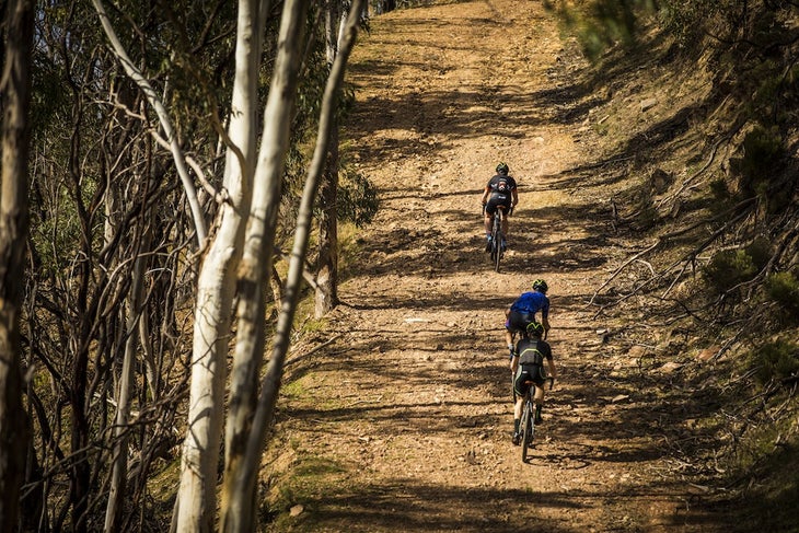 Roadtripping The Mawson Trail - Velo