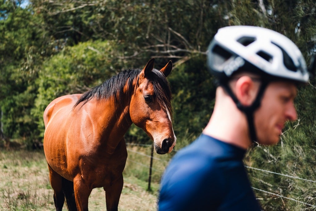 The return: Riding for redemption in The Budawangs