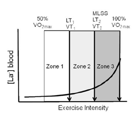 Training FAQ: Do you need training zones? - Velo
