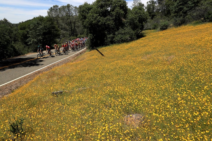 Gallery: 2019 Tour of California, stage 2 - Velo