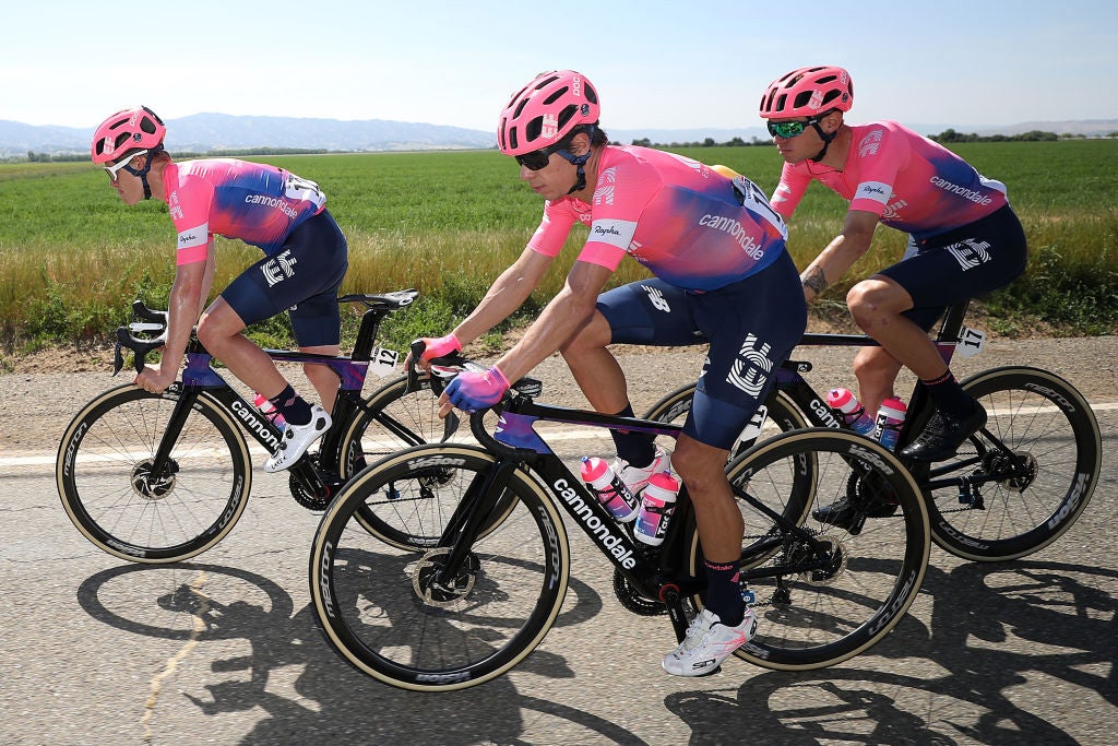 Tour de France teams: EF Education First - Velo