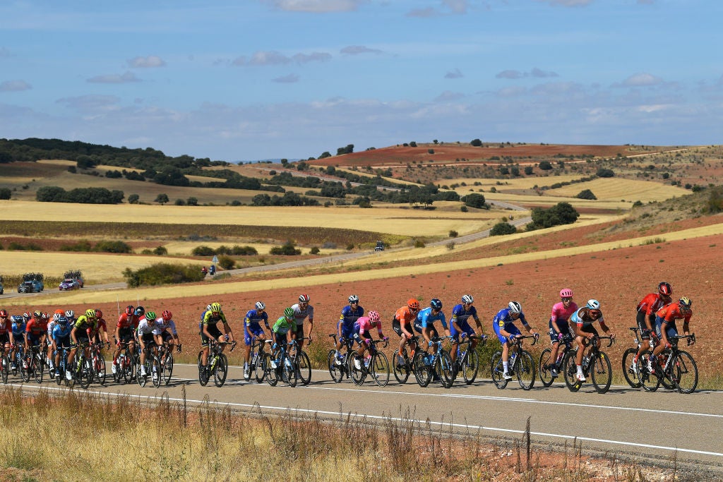 UCI confirms men's and women's WorldTour teams for 2020 - Velo