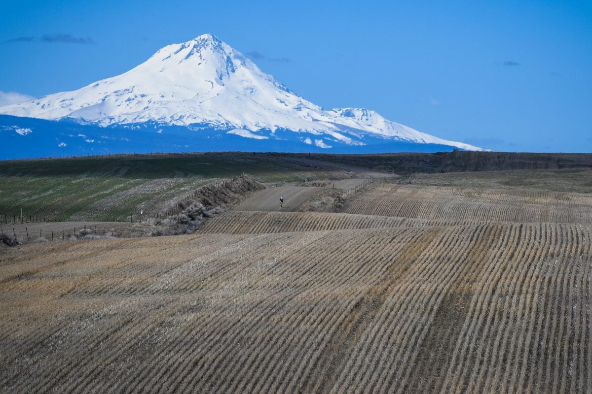 Swiss Side's new pressure measurement rake doubles wind tunnel ...