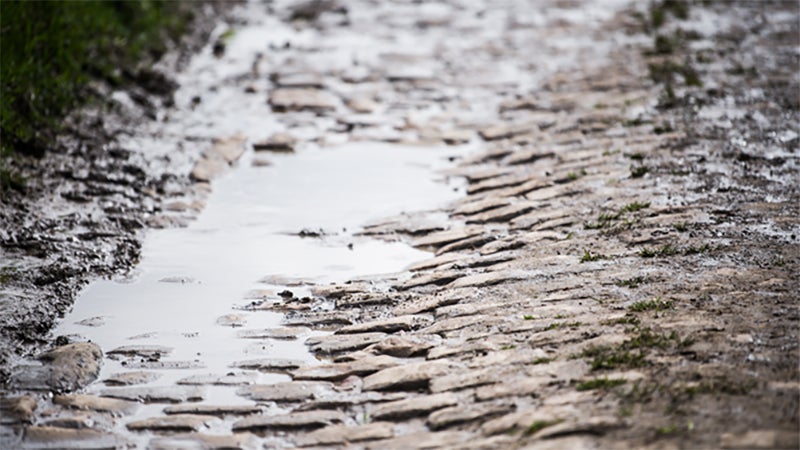 Paris-Roubaix cobbles check-in - Velo