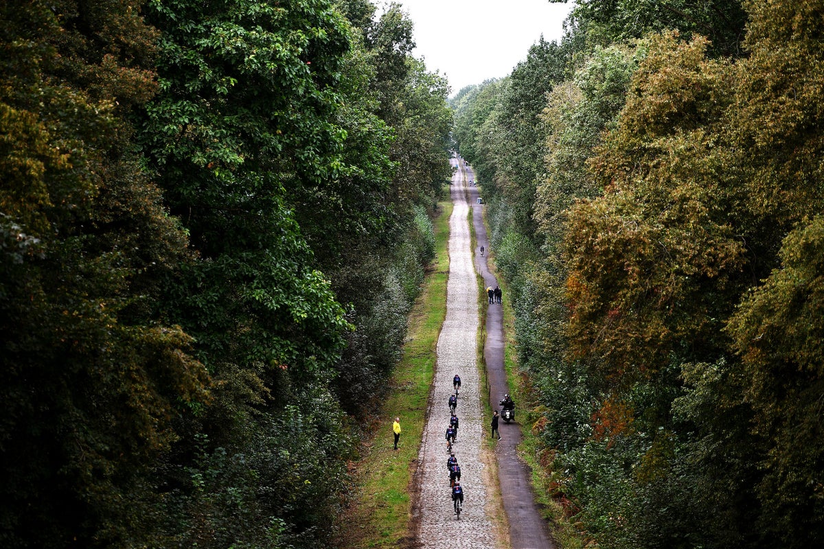 Tranchée d’Arenberg: How the most notorious sector of cobbles made it ...