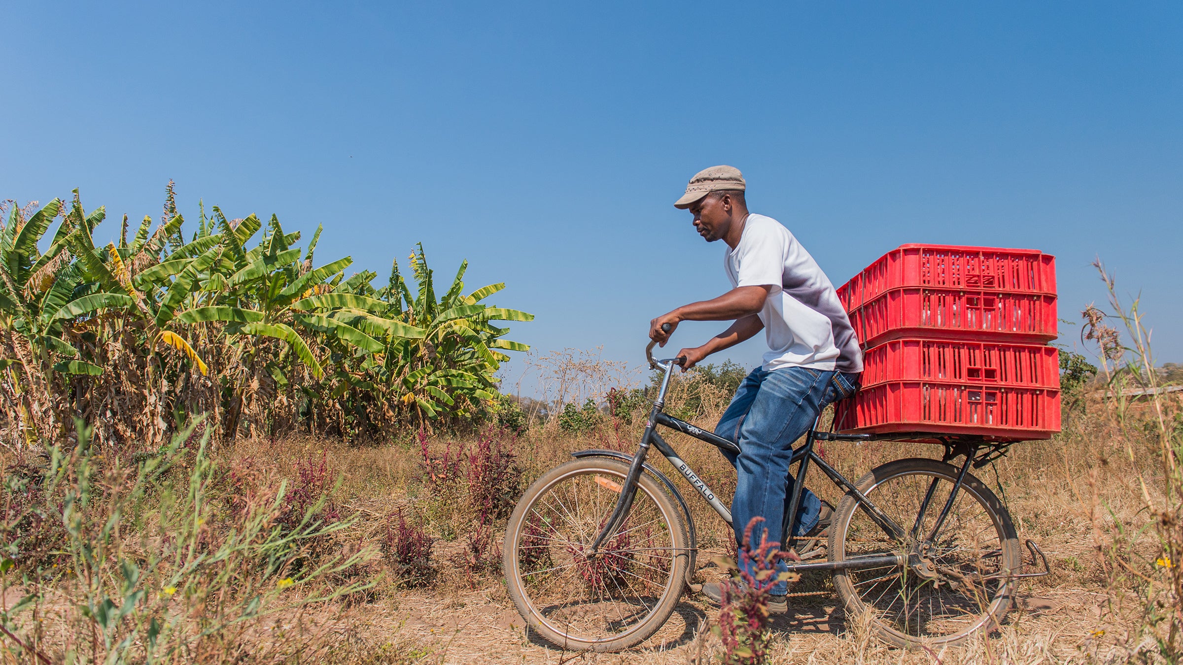 Trek joins with World Bicycle Relief for holiday fundraiser campaign - Velo