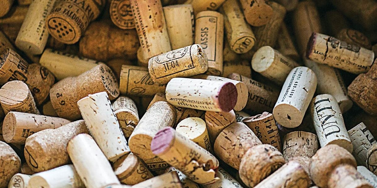 CREATING A STELLAR CELLAR - Velo