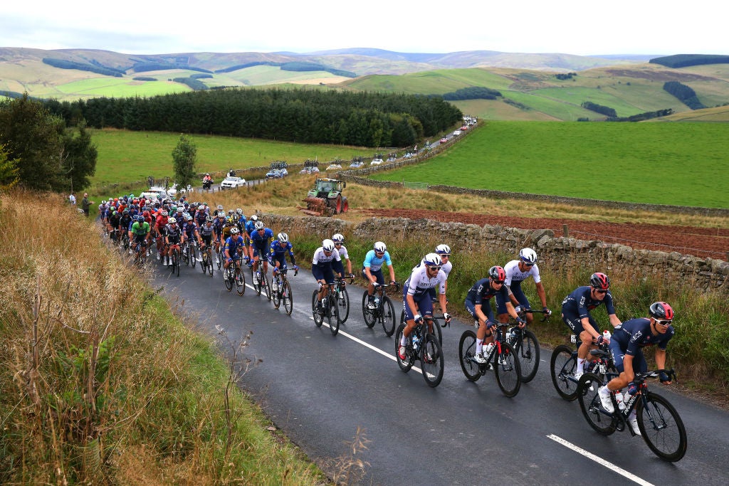 The green revolution: Can the cycling industry become environmentally ...