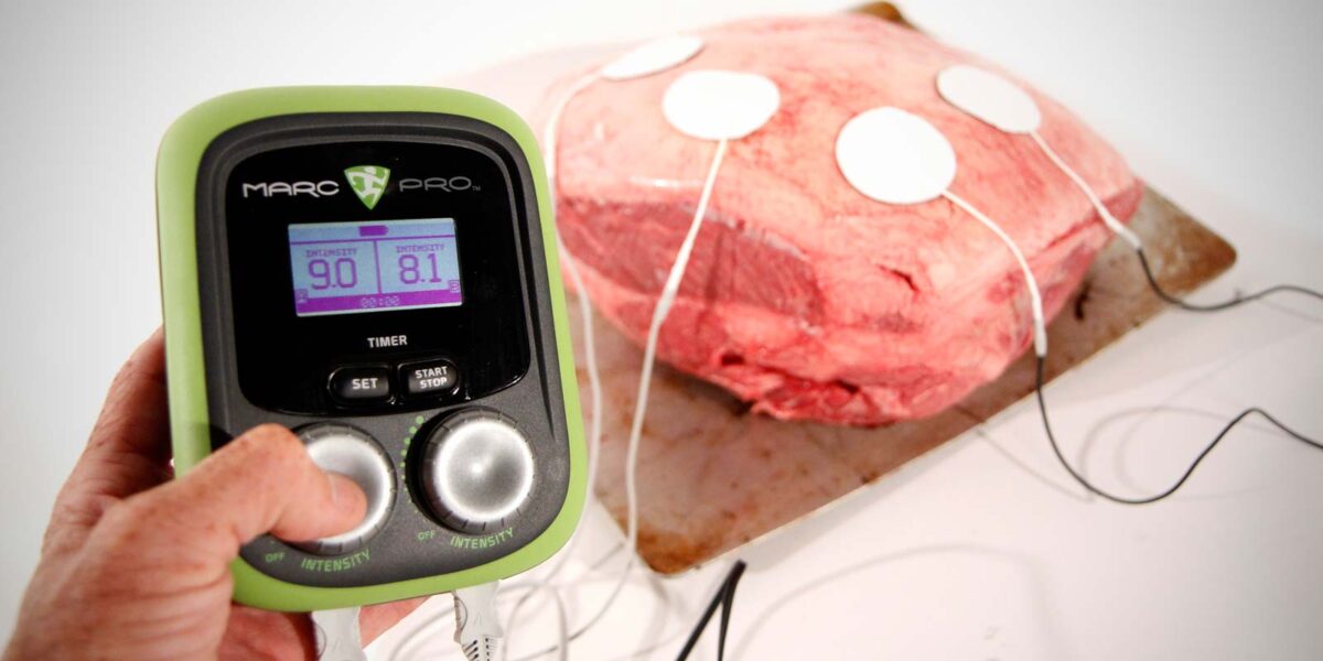 Marc Pro: Welcome to the Future of Recovery - Velo