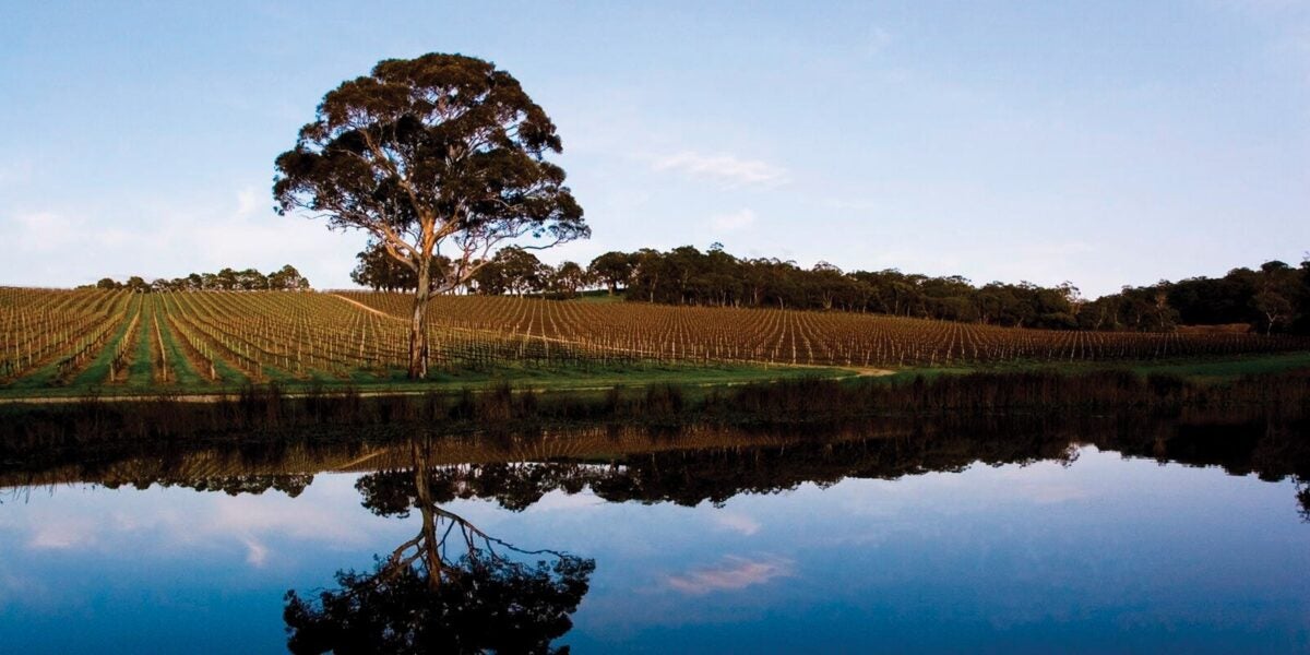 The Australian Wine Trail - Velo