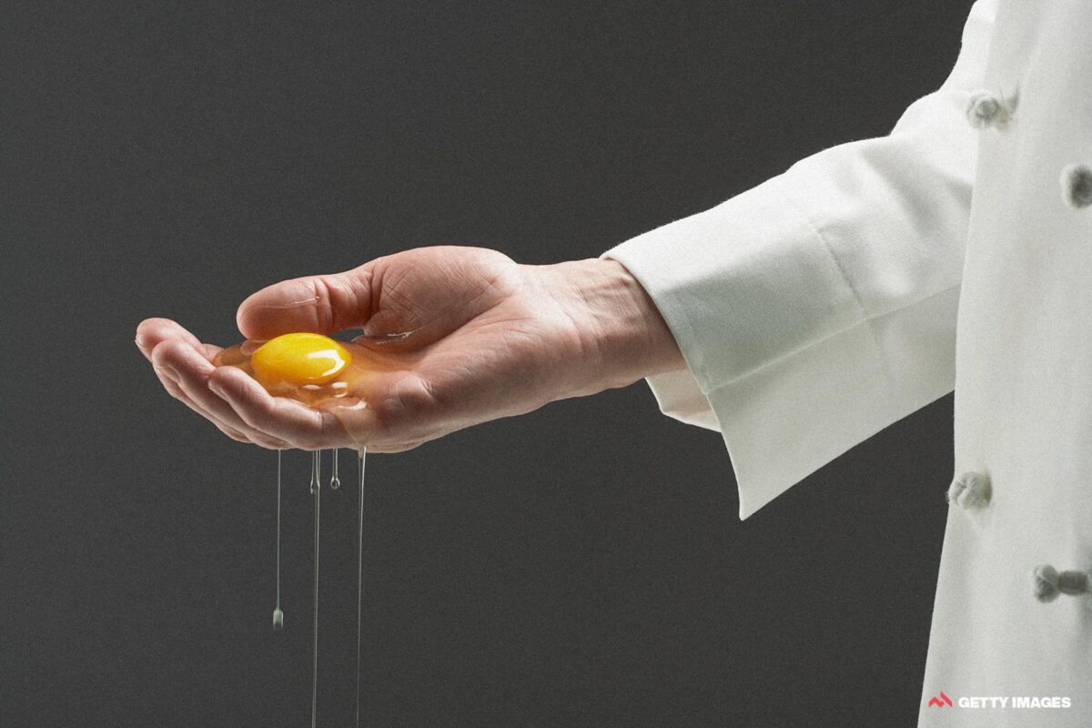 Stoked for yolk: DSM's YolkFan is an egg enthusiast's dream - Velo