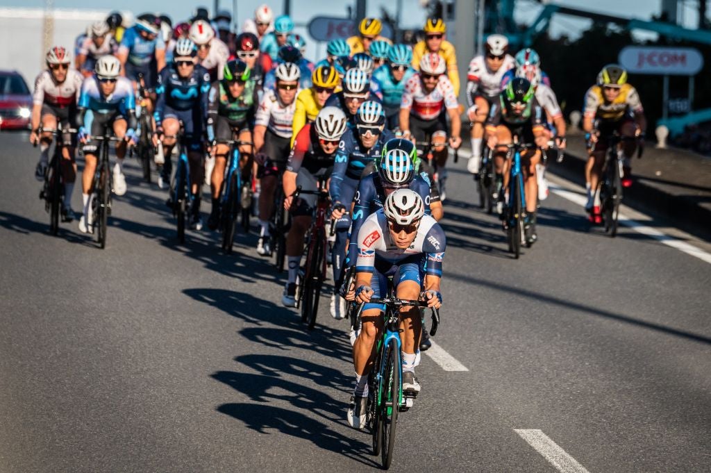 Dutch study: Two thirds of pro riders have poor bone health - Velo