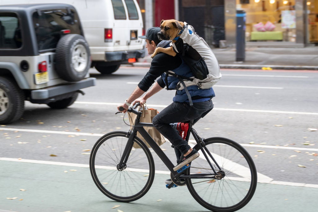 Your helmet could make you seem 'less-human' to drivers – Urbanist ...
