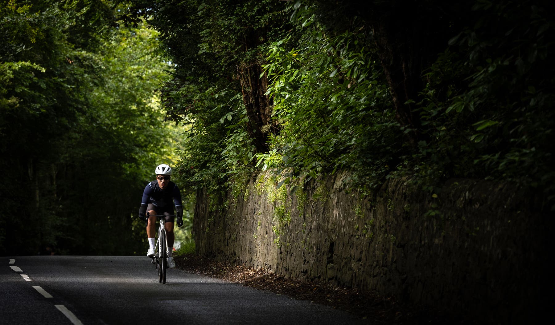 Specialized Tarmac SL8 first ride review: Clinical improvement