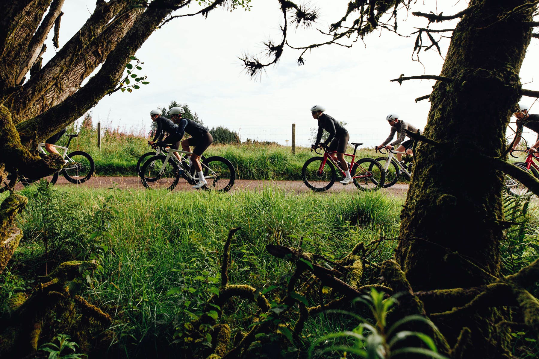 Specialized Tarmac SL8 first ride review: Clinical improvement