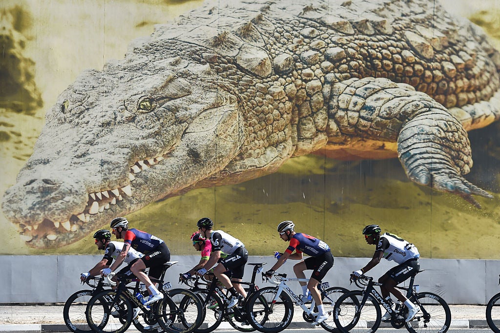 Watch This Cyclist Dodge a Gator (Aka Just Another Day in Florida) - Velo