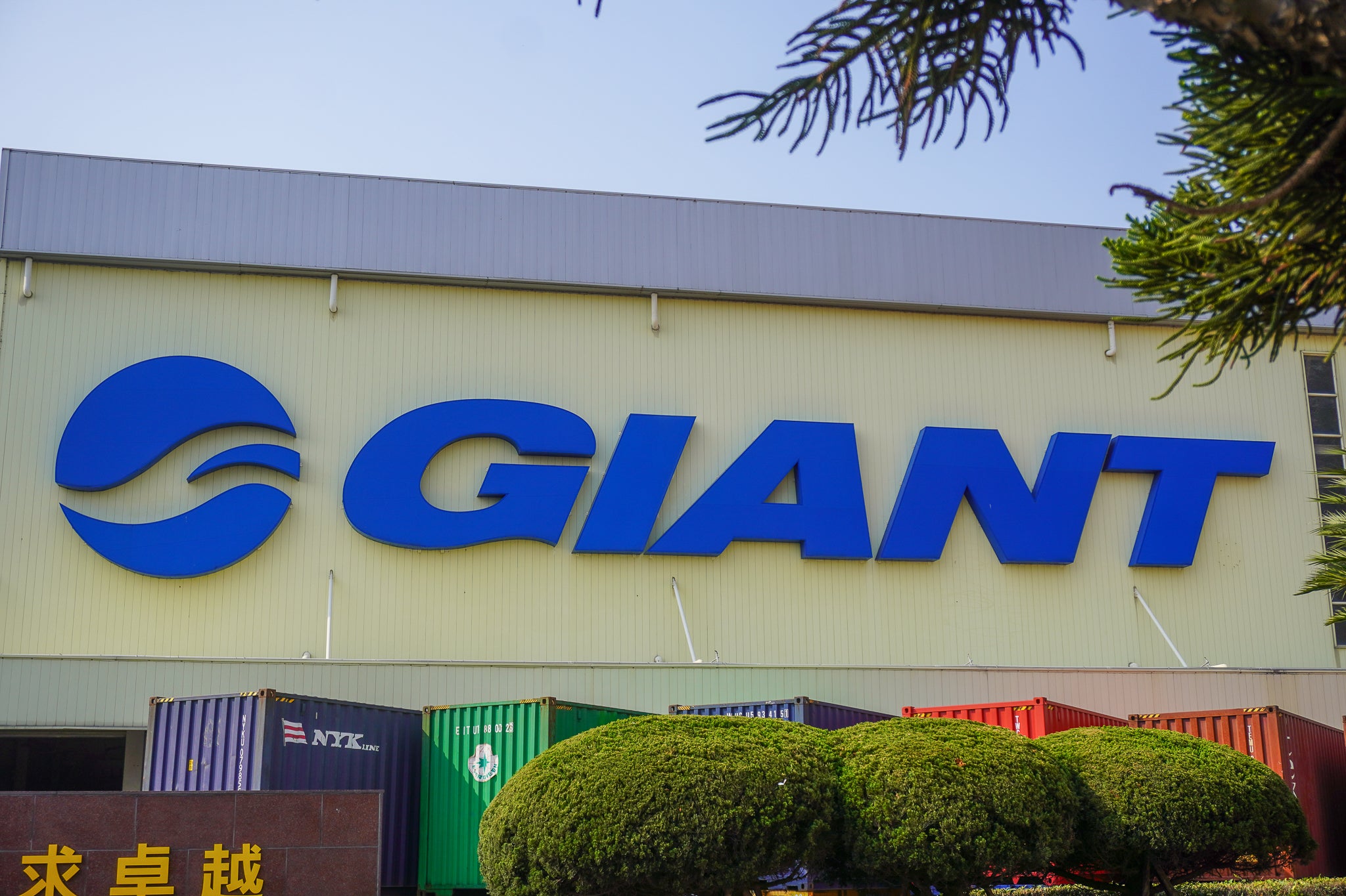 How a Carbon Bicycle Is Made at the Giant Factory - Velo