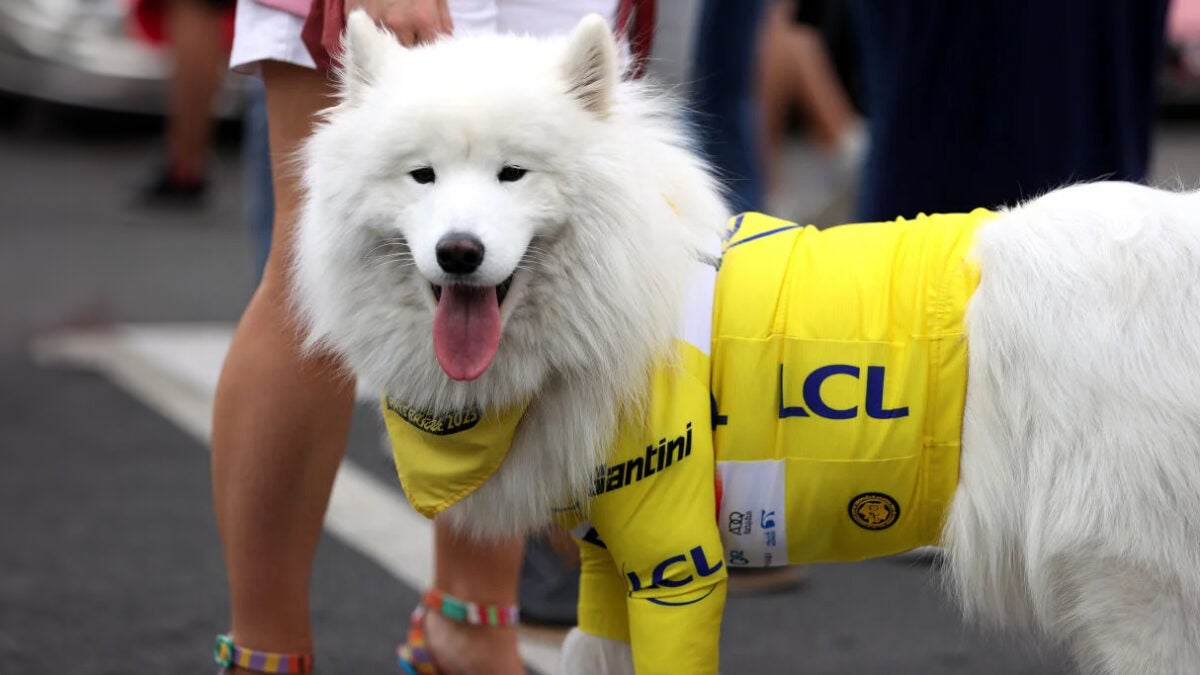 Tour de France: 21 Predictions and Hot Takes