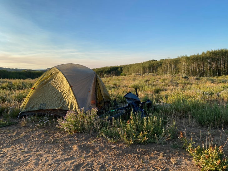 Cyclist Hit by Literal Poop Storm After Getting Caught Camping on ...