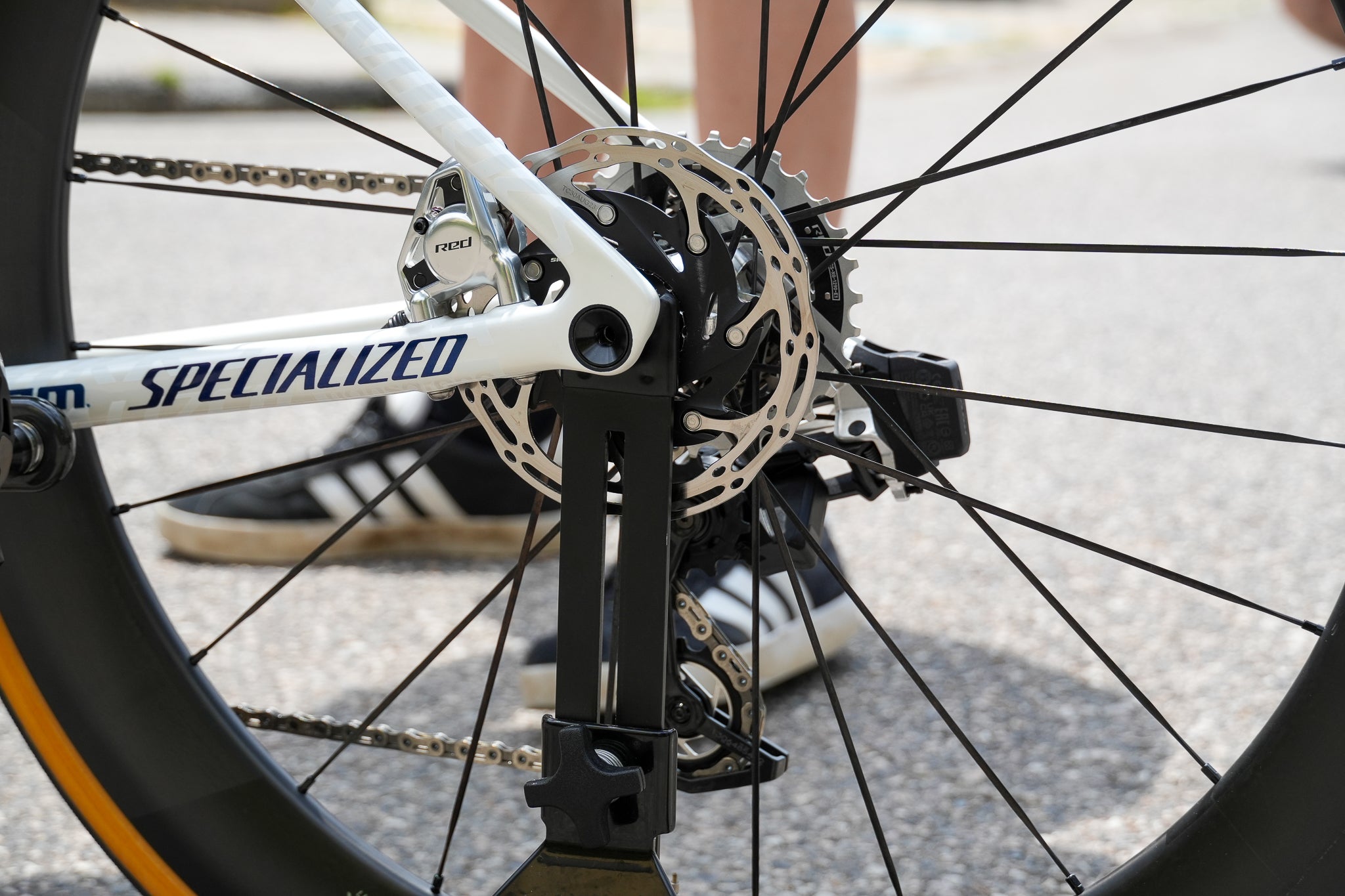 Tour de France Bike Check: Primož Roglič's Specialized Tarmac SL8 Might ...