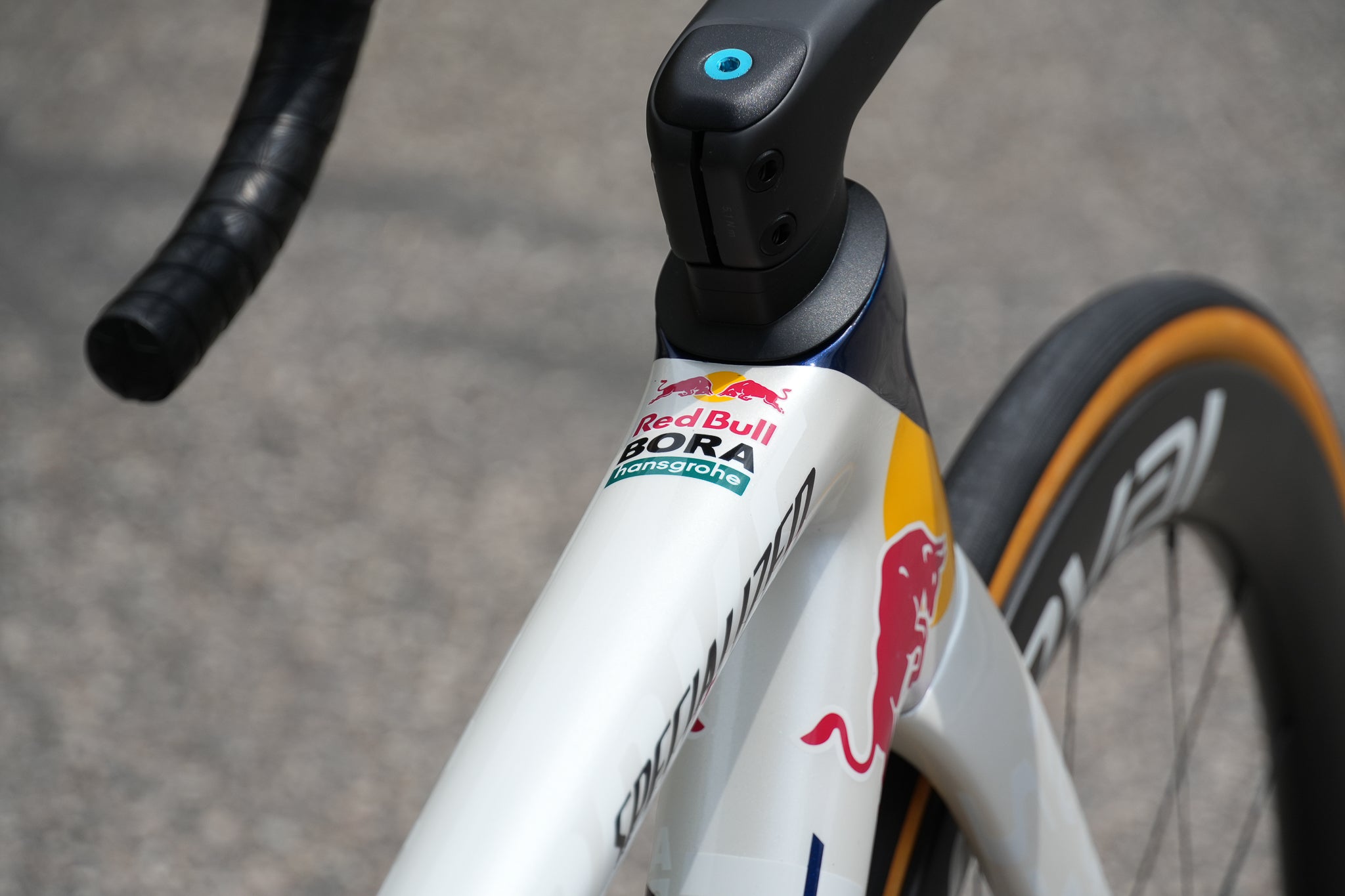 Tour de France Bike Check: Primož Roglič's Specialized Tarmac SL8 Might ...