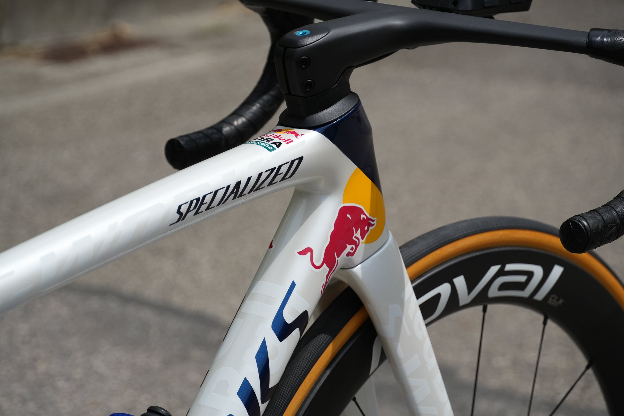 Tour de France Bike Check: Primož Roglič's Specialized Tarmac SL8 Might ...