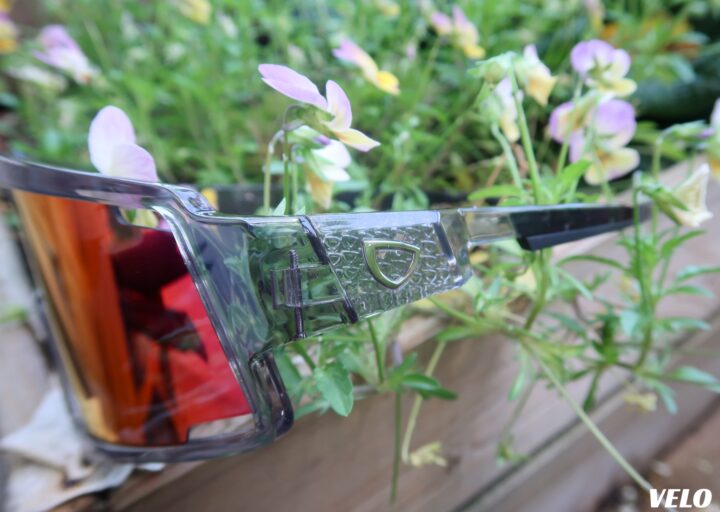 Spatz Shield: A Possibly Biased Review on Some Huge Sunnies - Velo