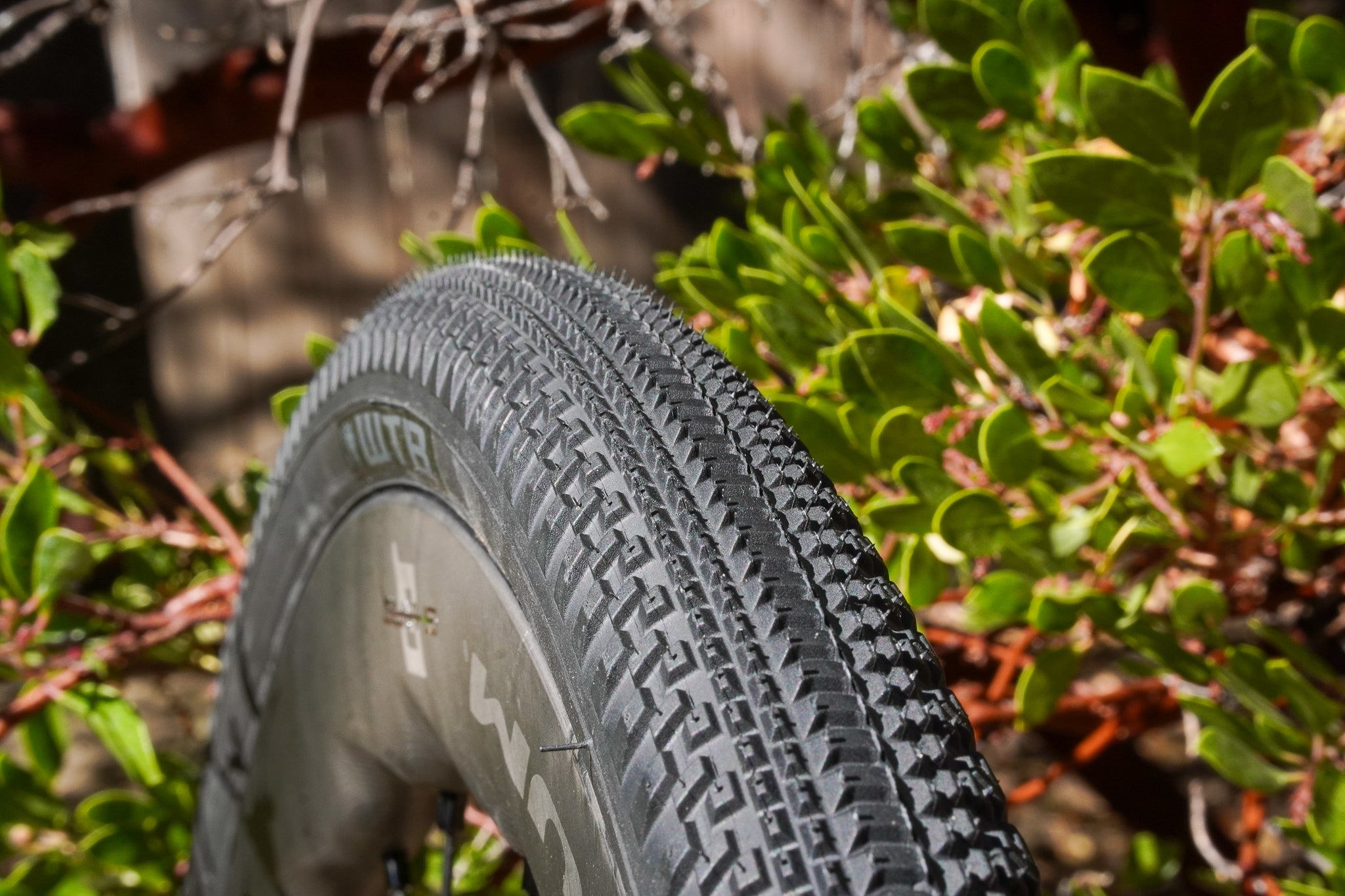 Best Gravel Tires Reviewed: All the Fast, 40 mm Gravel Tires I Used ...