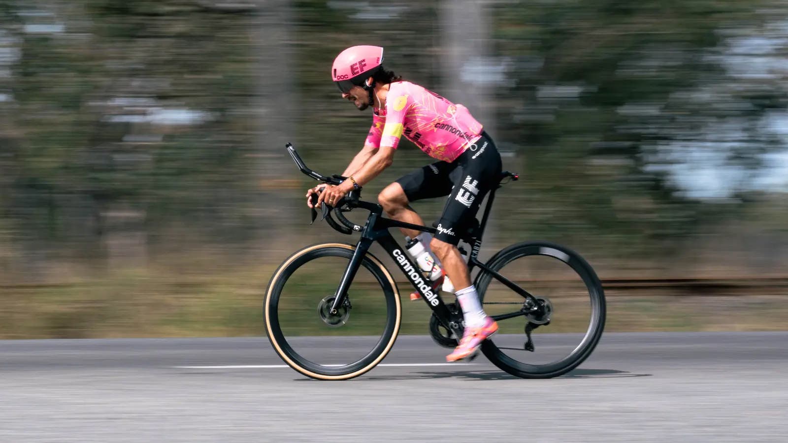 Our Predictions for the Road Bikes that Will Be Updated in 2025