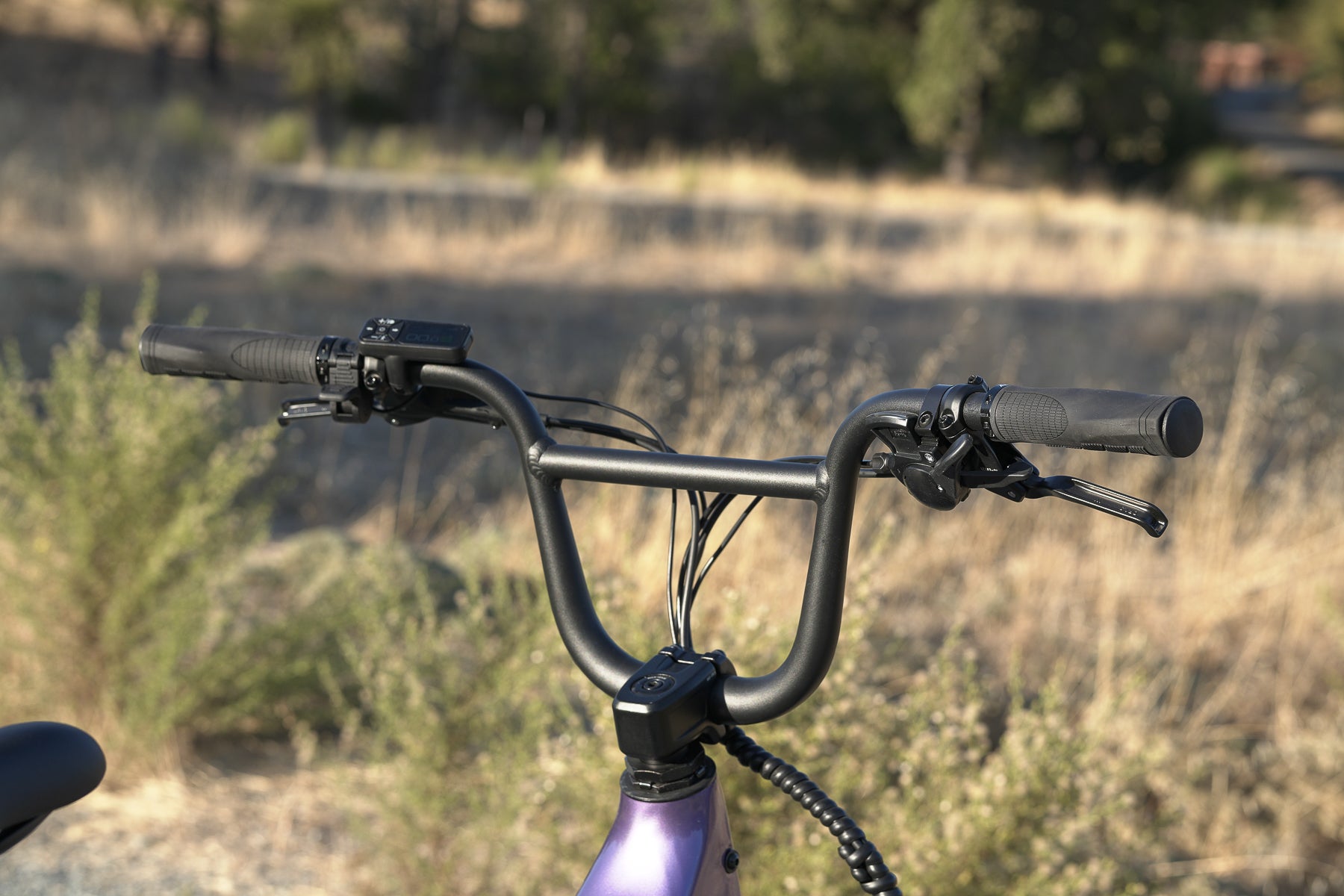 First Ride Review: The Aventon Abound SR Cargo Bike