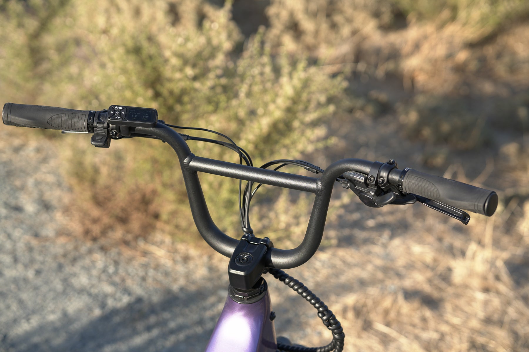 First Ride Review: The Aventon Abound SR Cargo Bike