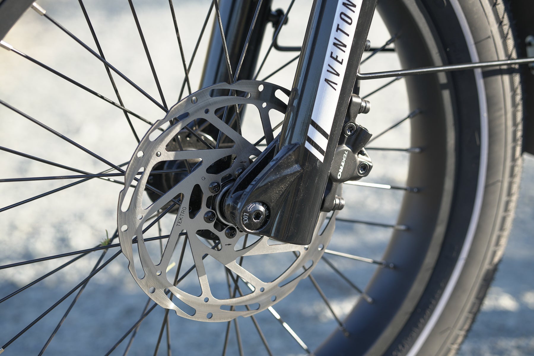 First Ride Review: The Aventon Abound SR Cargo Bike