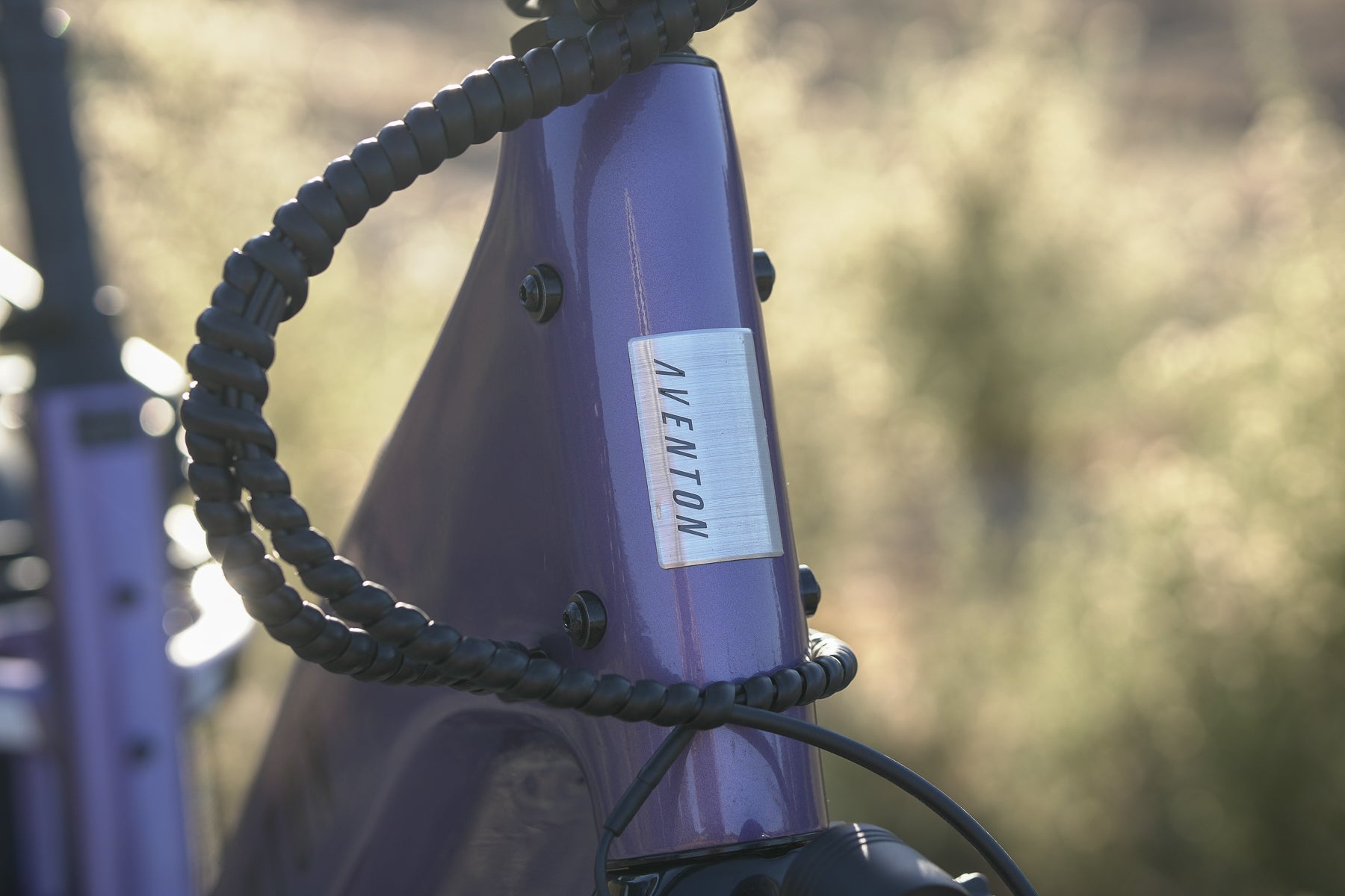 First Ride Review: The Aventon Abound SR Cargo Bike