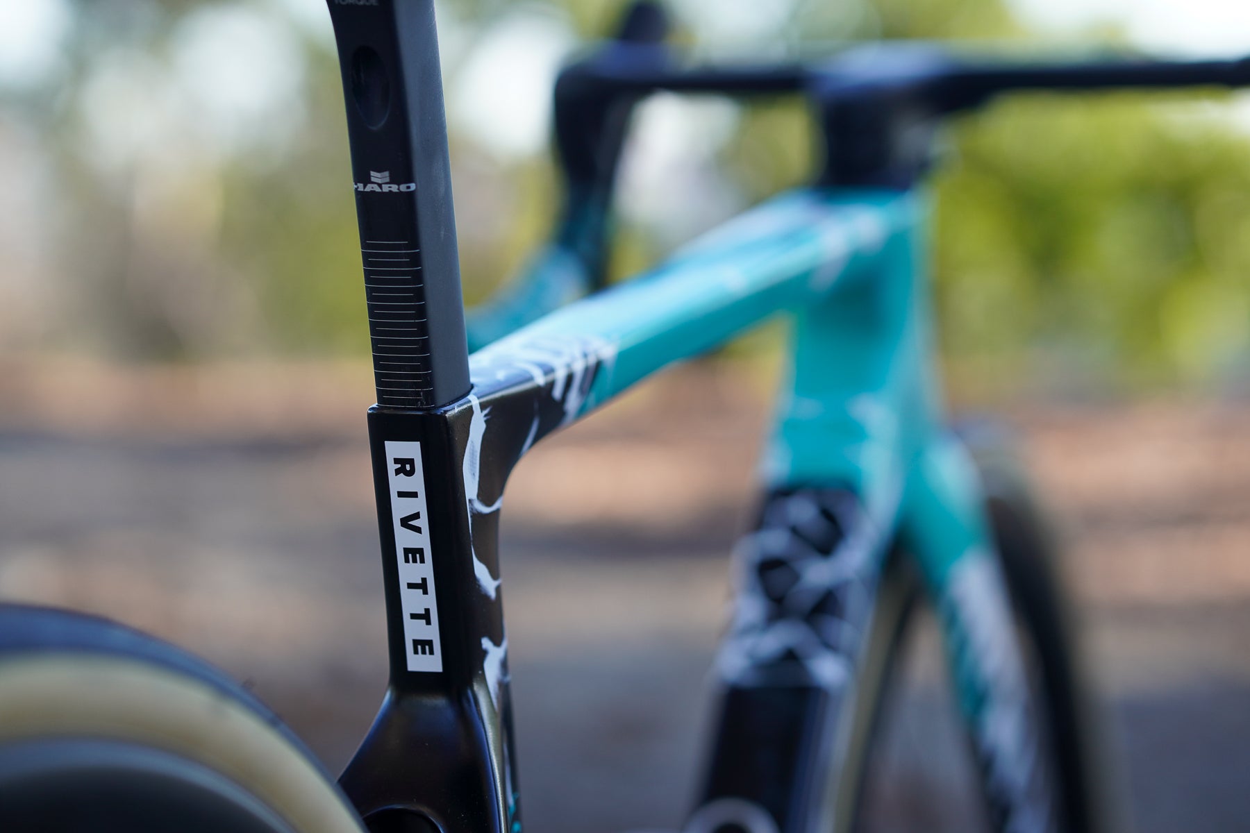 Review: The Haro Rivette Road Bike