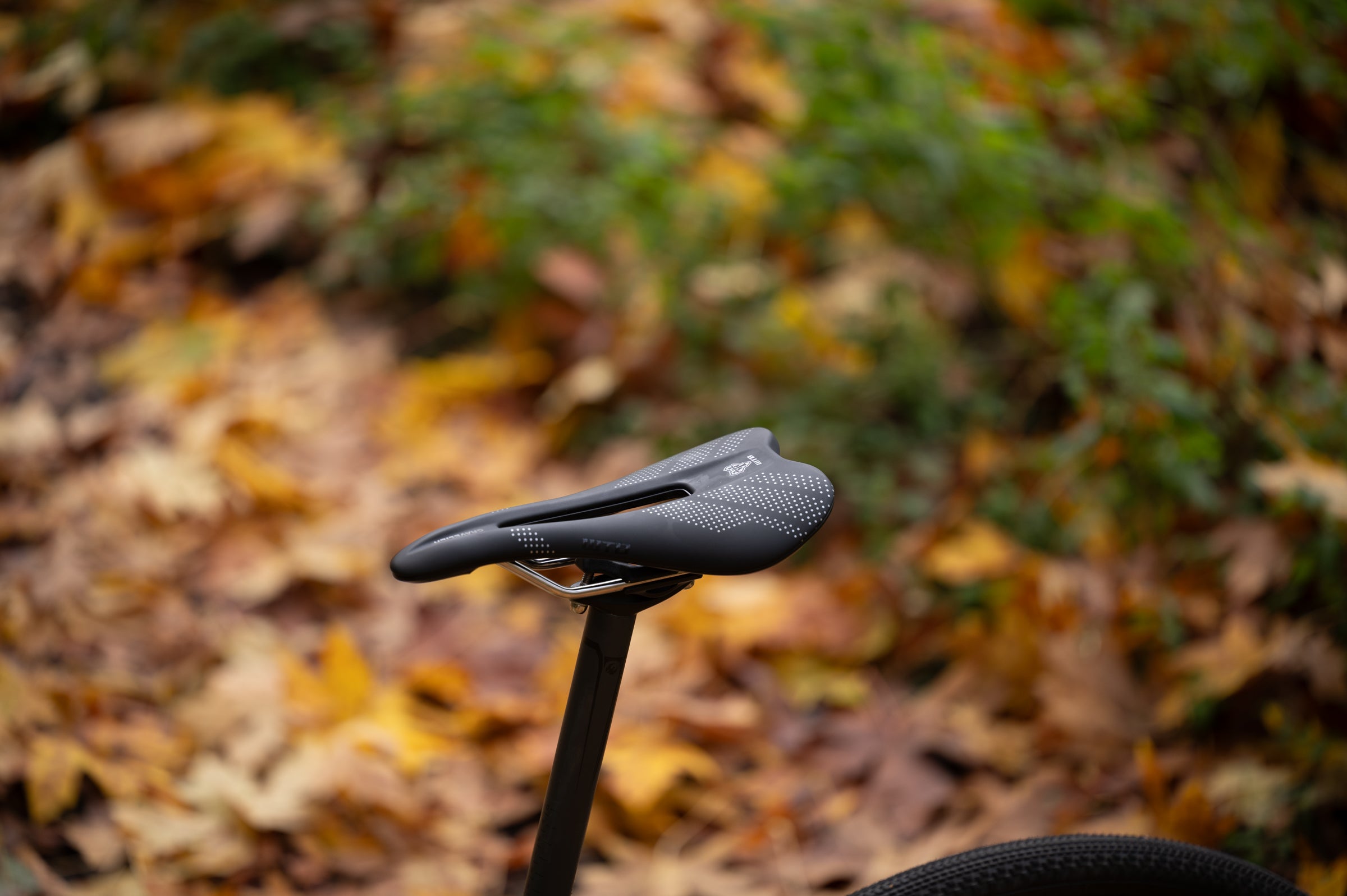 Review: The New Pivot Vault Gravel Bike Is Boring and I Love It - Velo