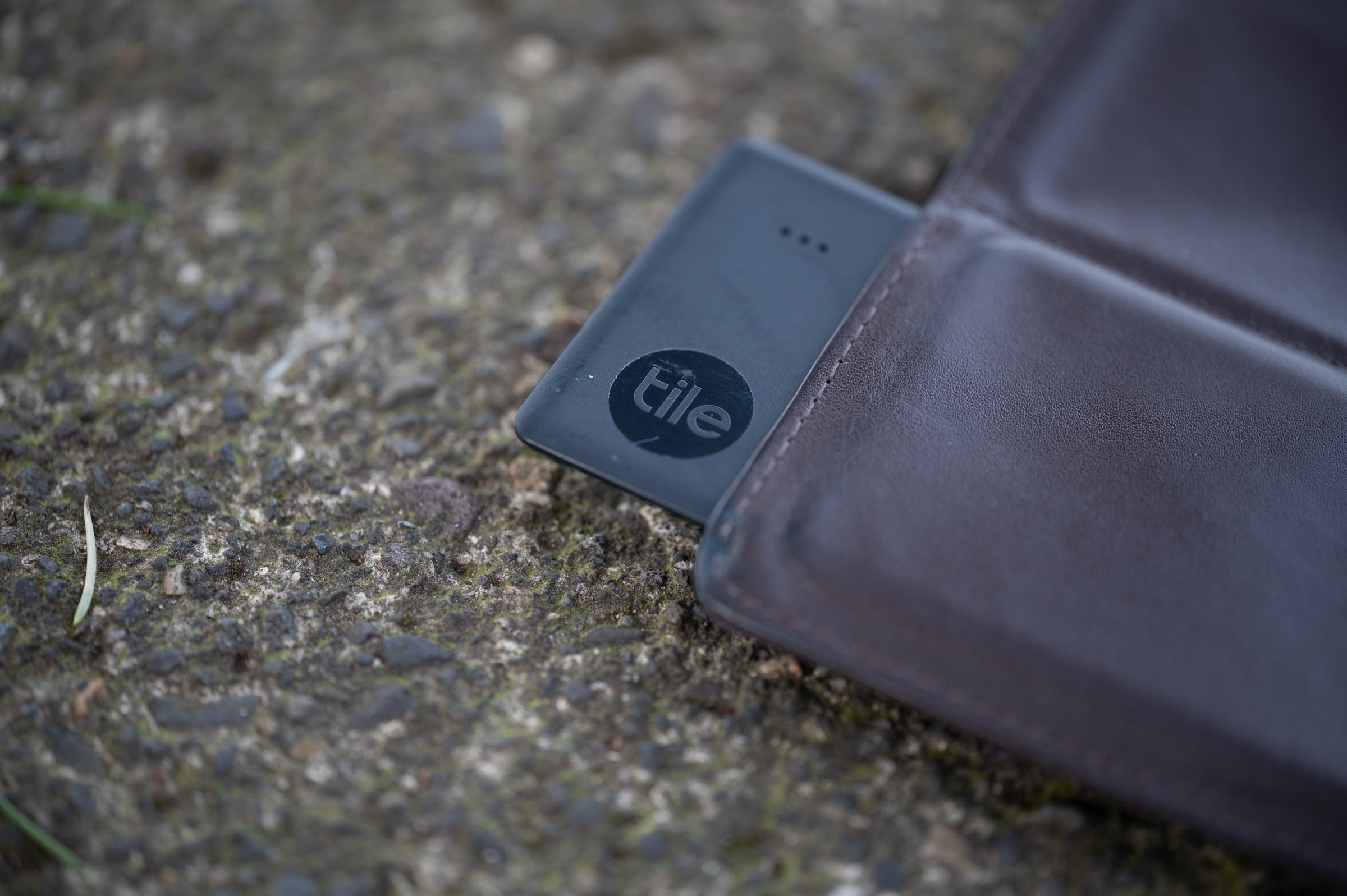 Check Out: Smooth Legs, Fancy Pants, Recovery Mix, Trackers, and Waxed ...