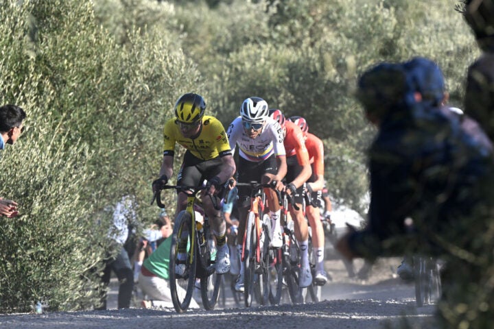 Why Pro Cyclists Recover from Broken Collarbone Faster than You Why Pro Cyclists Recover from Broken Collarbone Faster than You