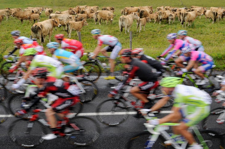 Tour de France stage 19 shortened because of infected cattle