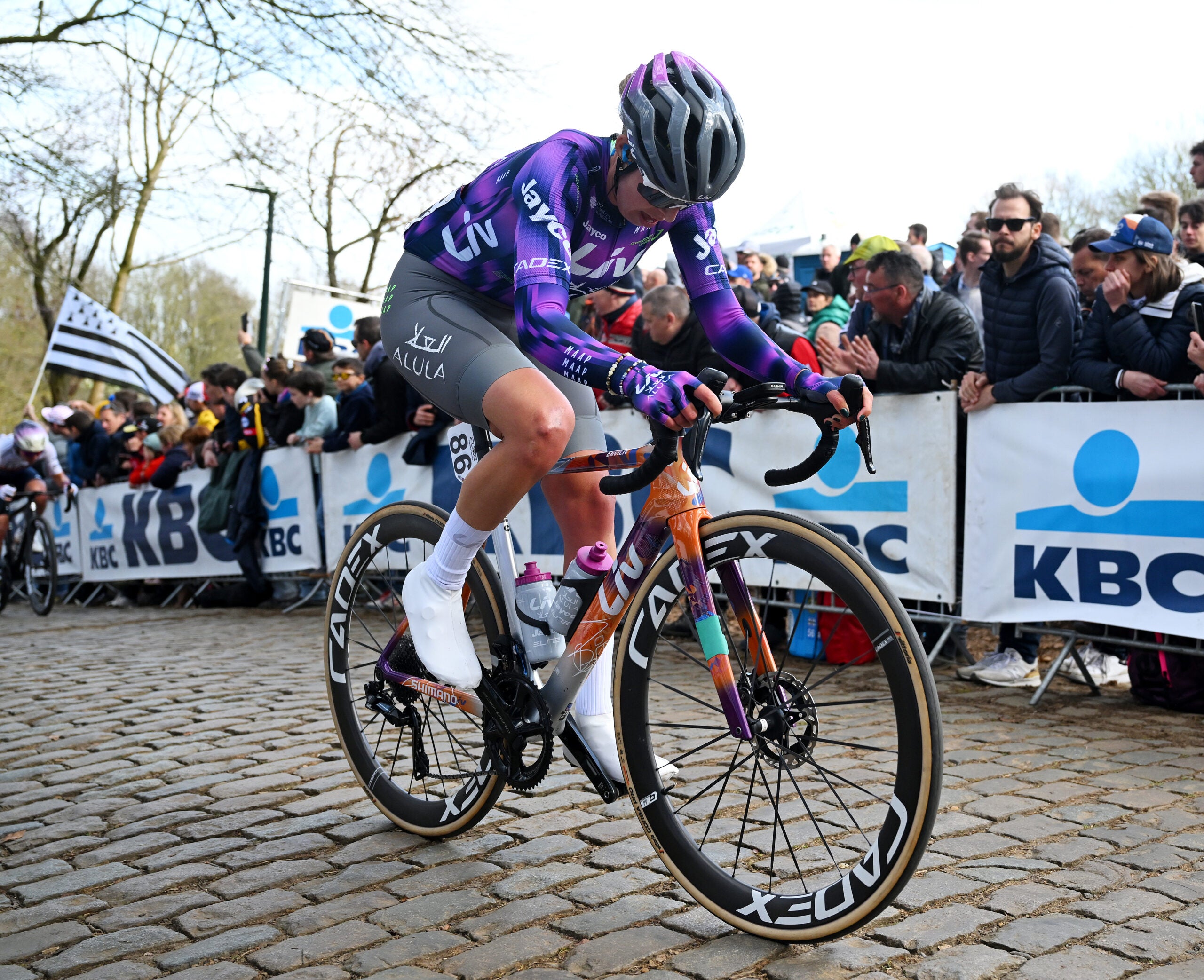 Velo's Ultimate 2025 Tour de France Femmes Bike Guide - Velo