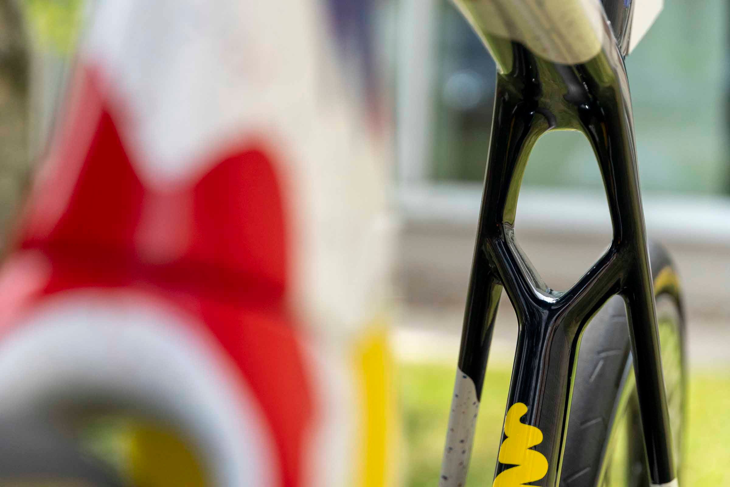 Tour de France Bike Check: A Matisse-Inspired Lidl-Trek Madone - Velo